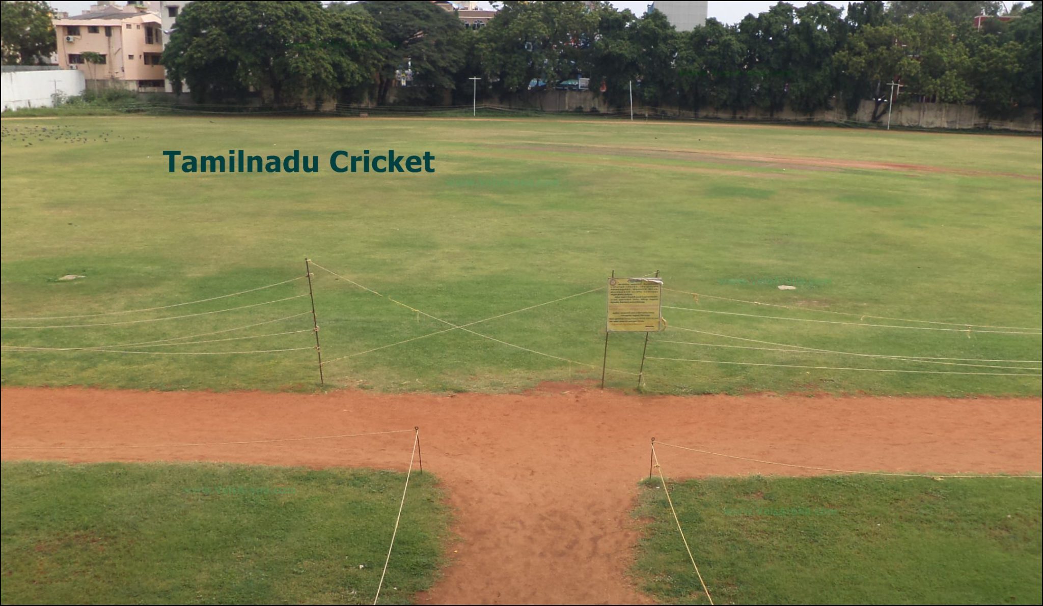 Tamilnadu Cricket - Vels Arena